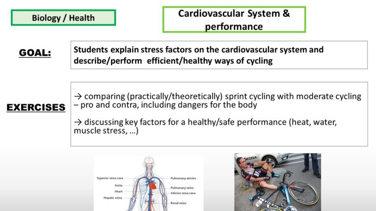 Cardiovascular system & performance – STEM on the move